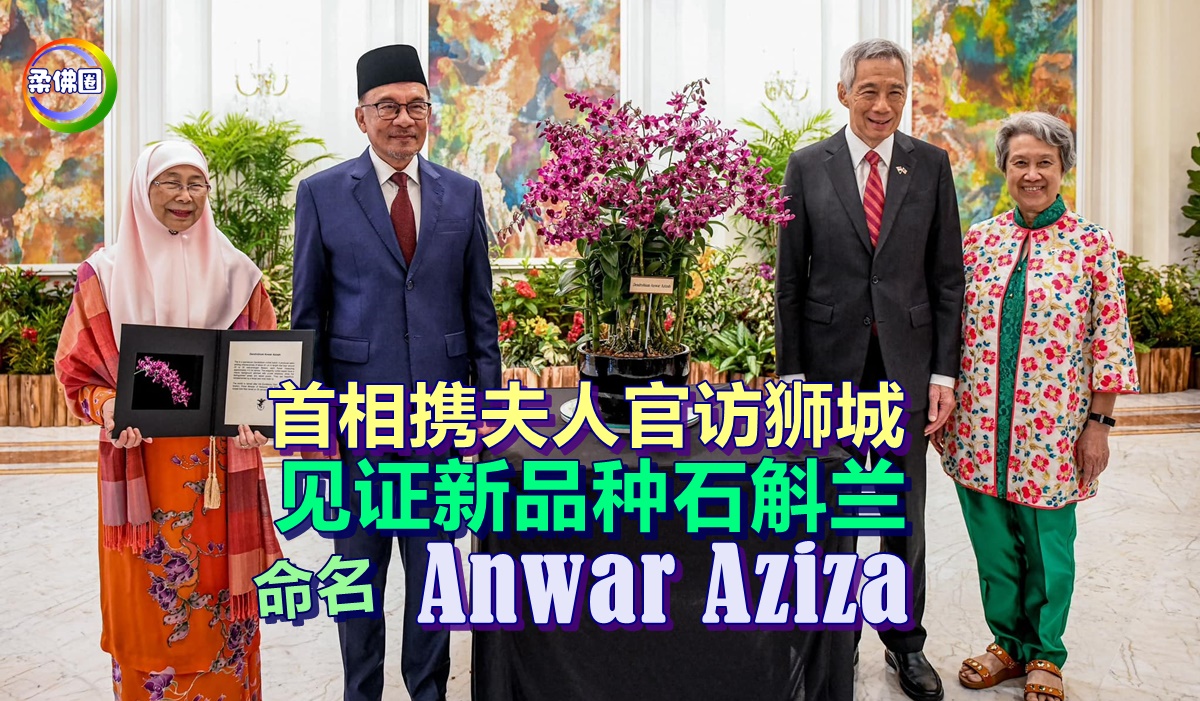 首相携夫人官访狮城 见证新品种石斛兰 命名Anwar Aziza - 柔佛圈